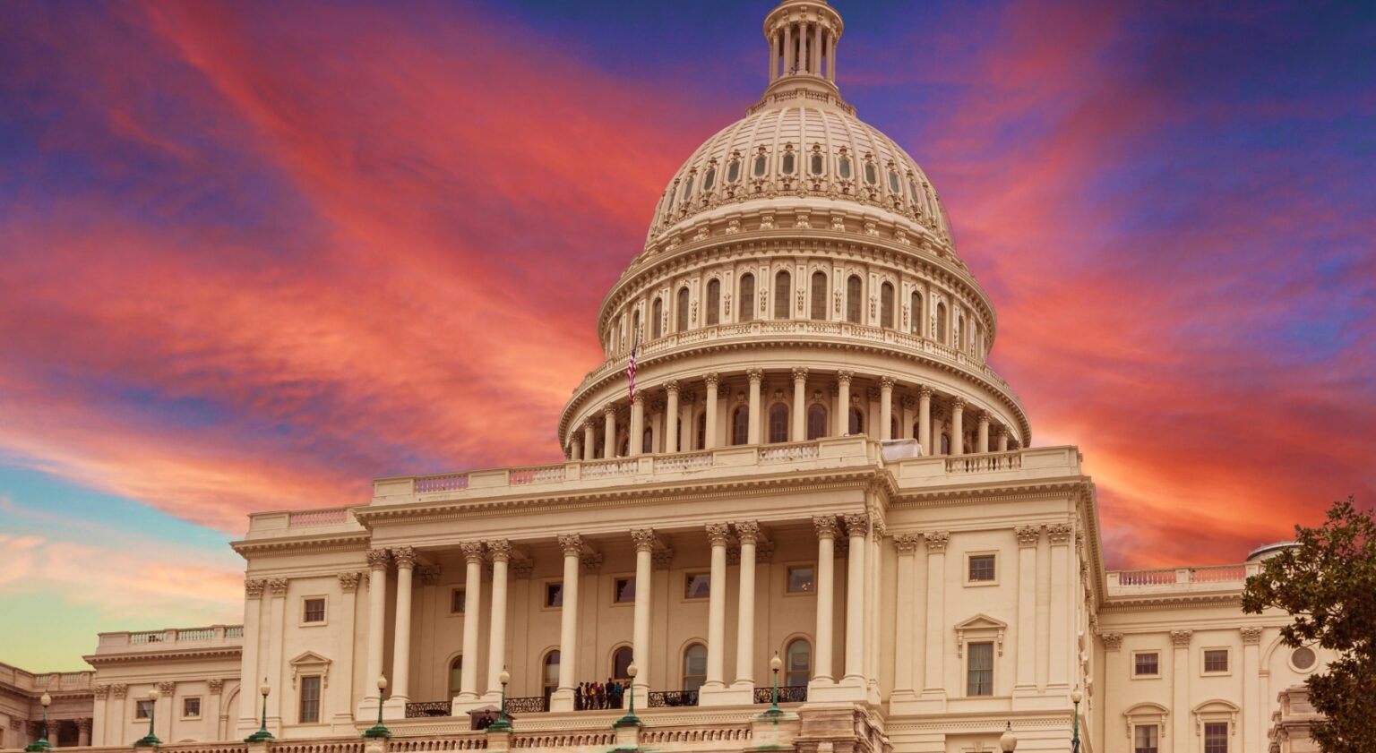 2024 U.S. Elections Spark Concerns About Widespread Riots and ...